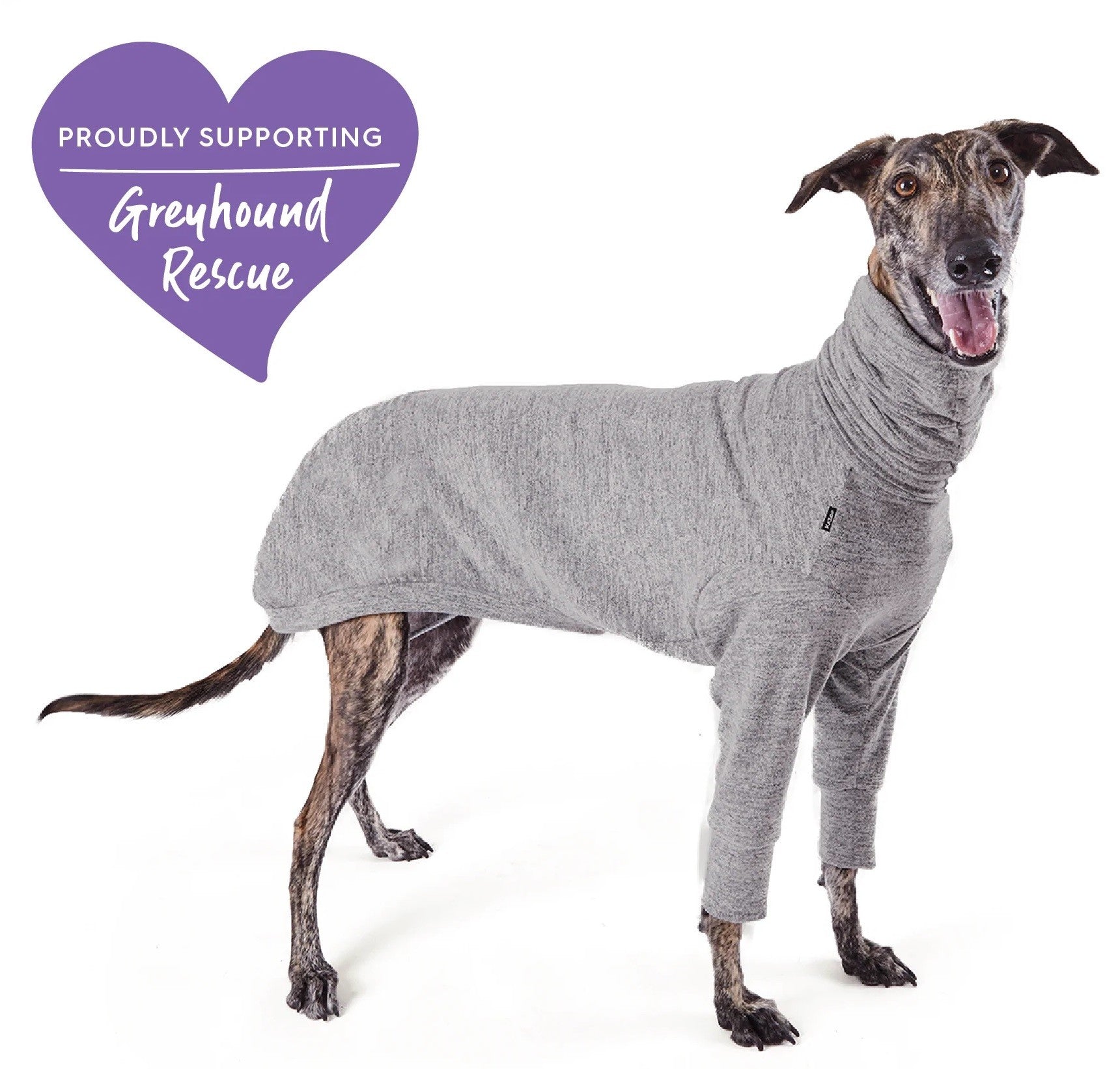 Kazoo Dog Rug Greyhound Softie Grey