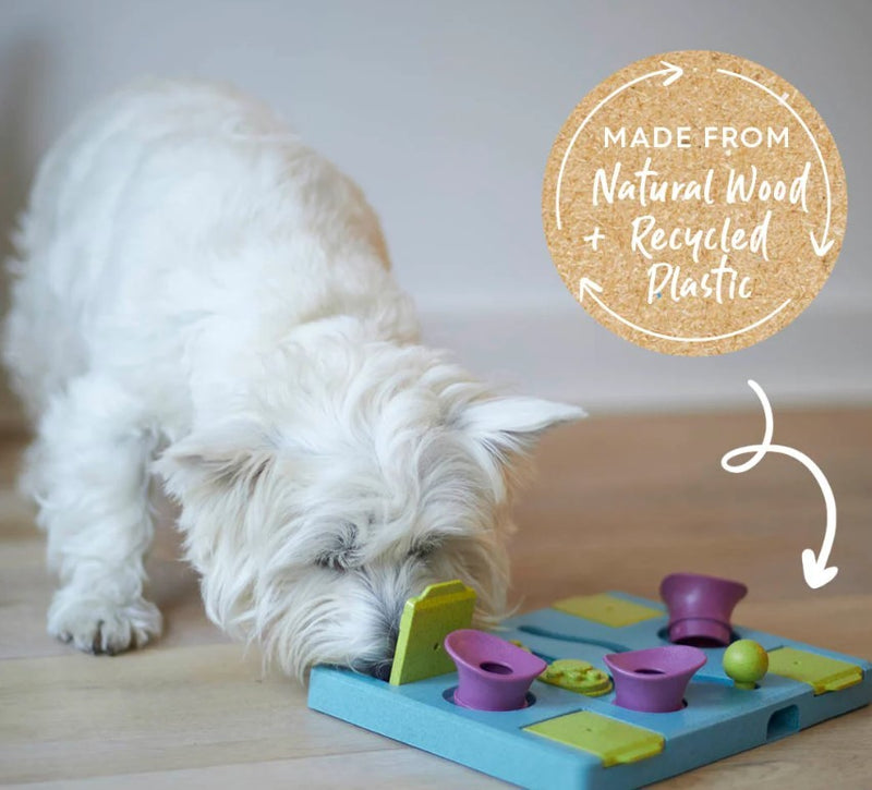 Kazoo Dog Toy Interactive Puzzle Play Rectangle Rumble