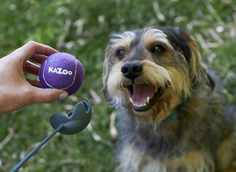 Kazoo Dog Toy Eco Friendly Ball Thrower Small
