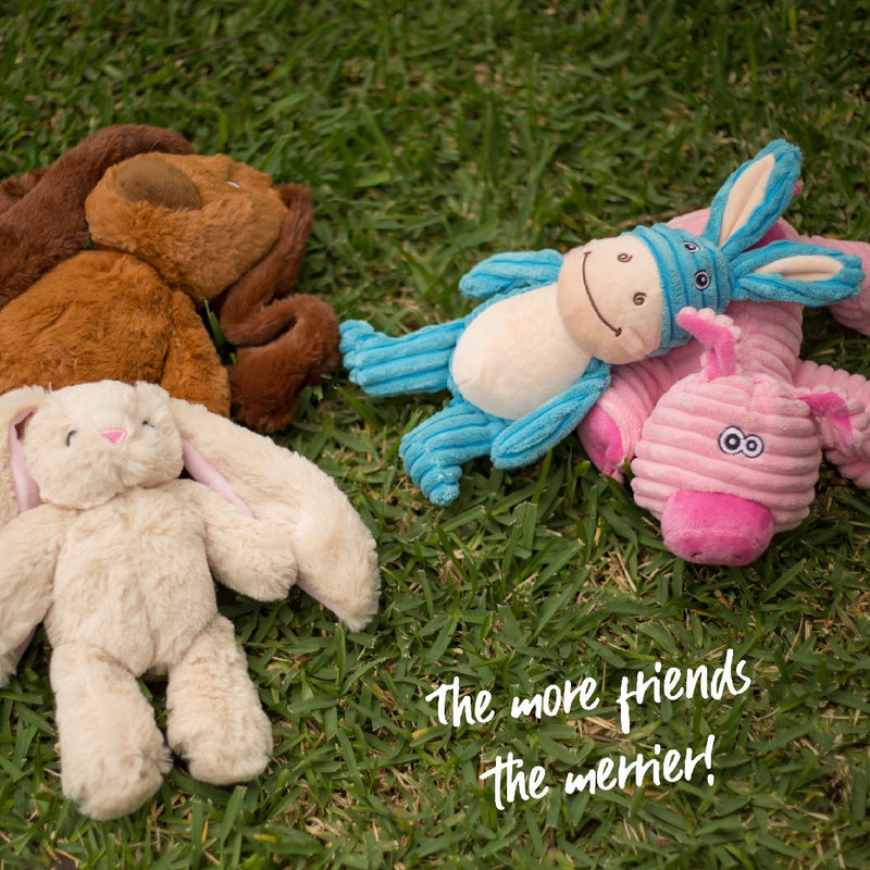 Kazoo Dog Toy Furries Funky Donkey Medium