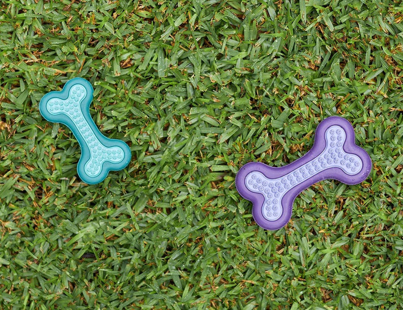 Kazoo Dog Toy Puppy Teether