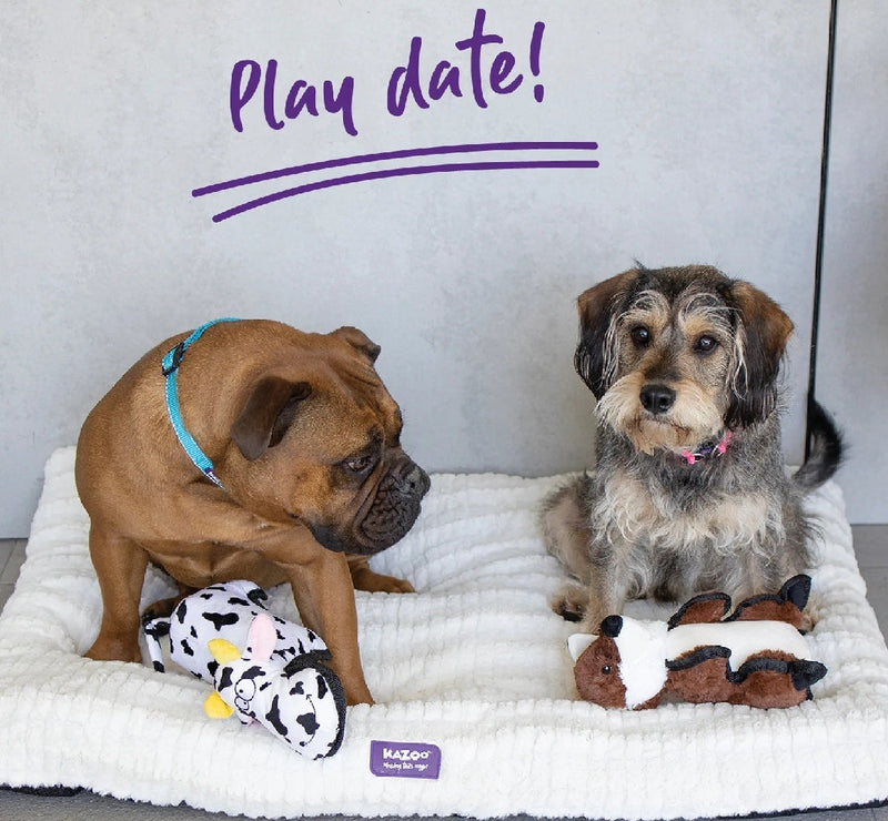 Kazoo Dog Toy Tough Cow