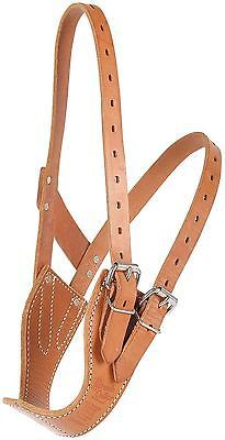 Windsucking Collar Miracle