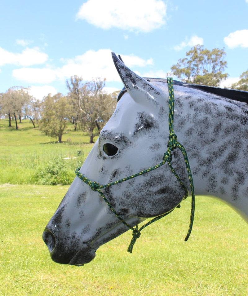 Nungar Headstall Knotted 6mm Green & Gold Fleck
